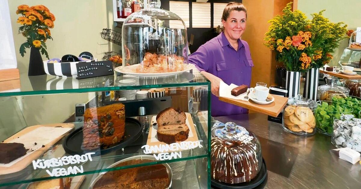 Wo Gibt Es Gunstige Kuchen