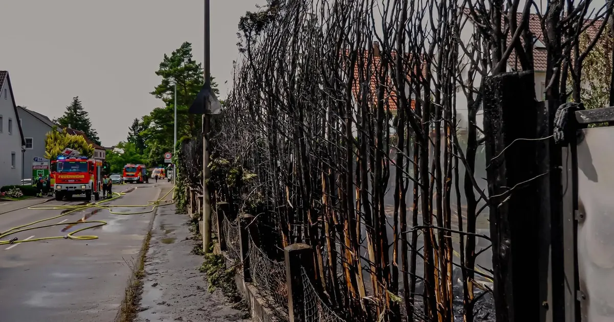 Snaxychann leaked nudes agreed with other reviews that she