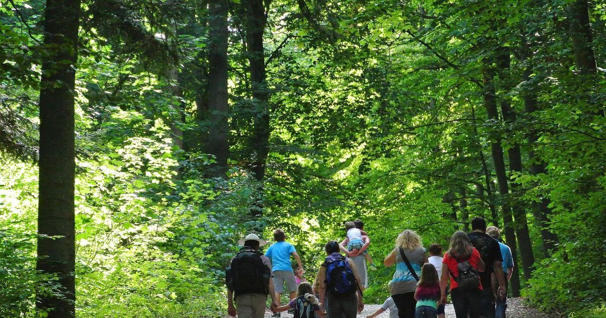 Neues entdecken, Vertrautes genießen - Home - Teckbote